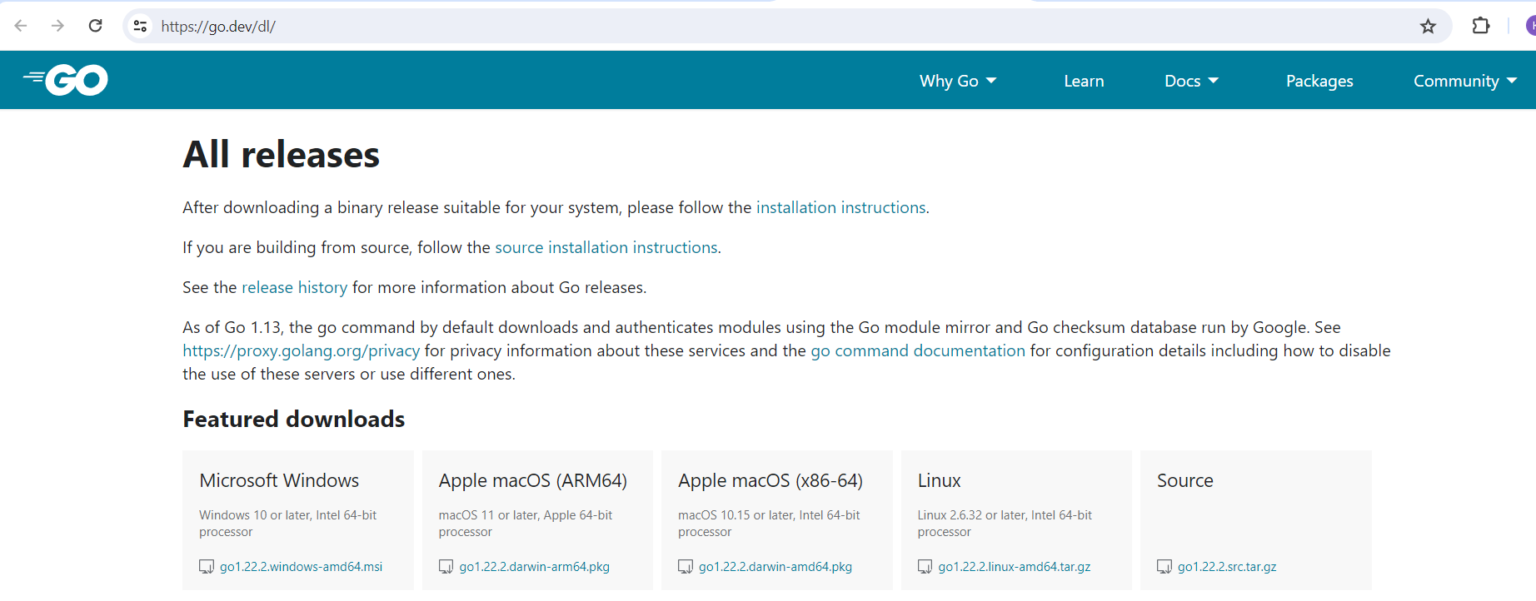 How to Install Go? - Programmingempire